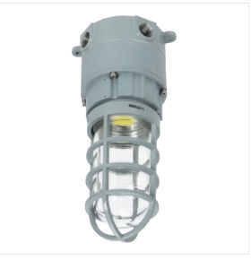 LED Explosion Proof Jelly Jar Lights – LEDMyplace Canada